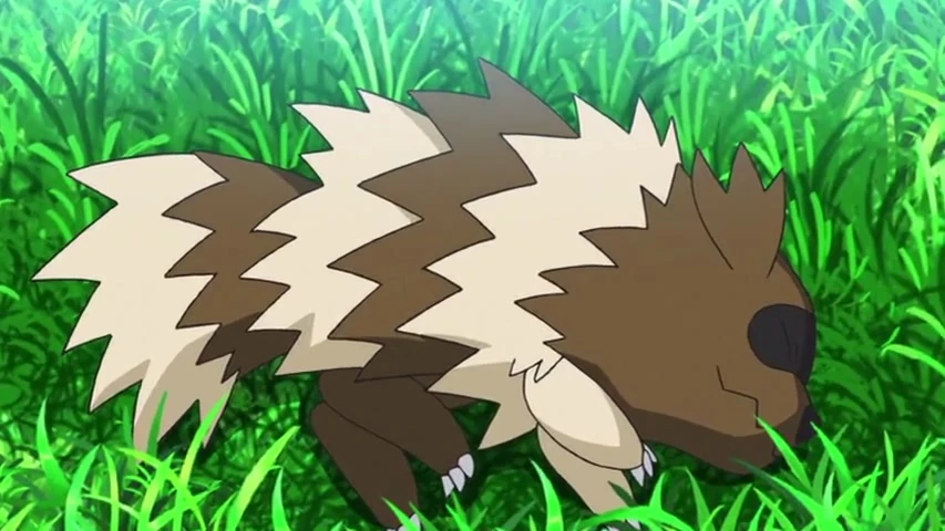 Zigzagoon | Animated Character Database | Fandom