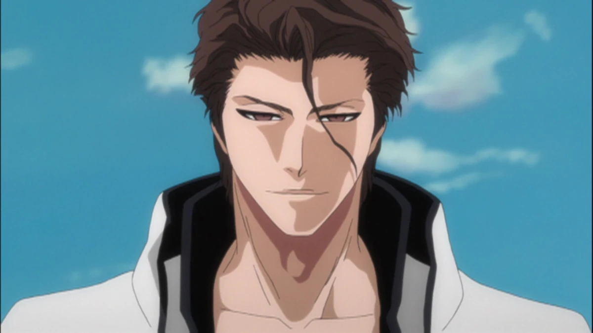 Sosuke Aizen | Animated Character Database | Fandom