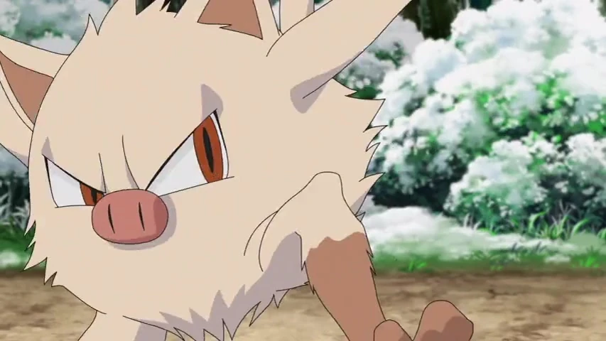 Mankey | Animated Character Database | Fandom