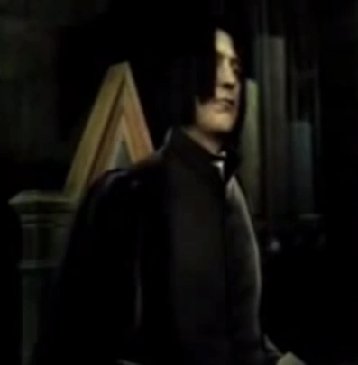 Severus Snape | Animated Character Database | Fandom