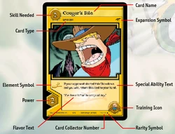 Xiaolin Showdown Trading Card Game Rulebook | Xiaolinpedia | Fandom