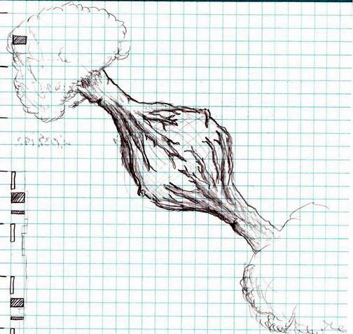 Petit Trees (sketch) | Xkcd Wiki | Fandom