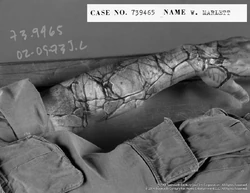 X Men Days Of Future Past Dead Mutants