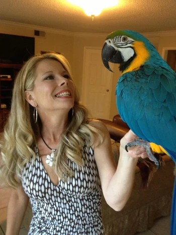 Susan Glaze-Harper | X-Men Movies Wiki | Fandom