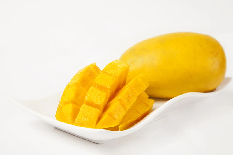 Magno | XMovie Wiki | Fandom