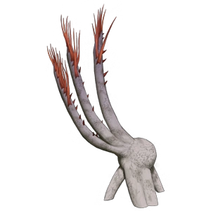 Phoenix Tail | Extrasolar Wiki | Fandom