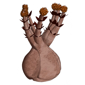 Sinew weed | Extrasolar Wiki | Fandom