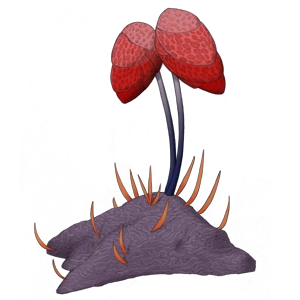 Bulbmoss | Extrasolar Wiki | Fandom