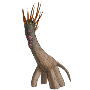 Apprentice Tree | Extrasolar Wiki | Fandom