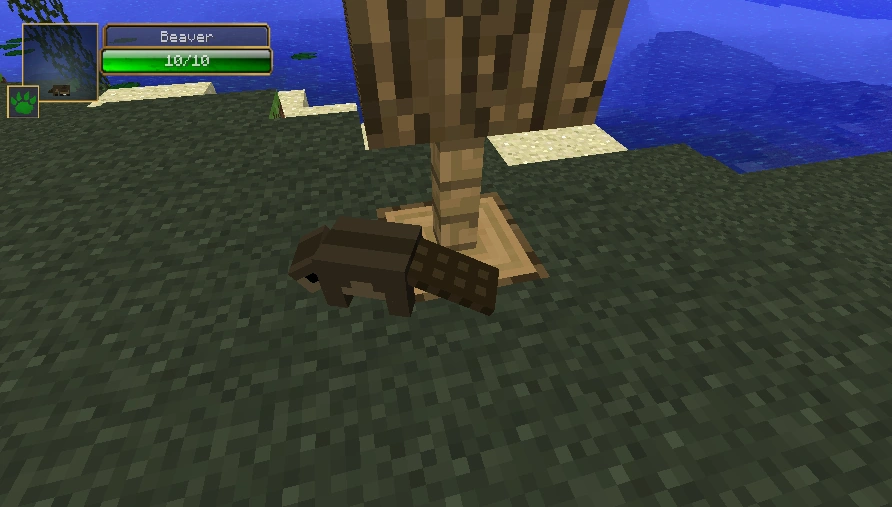 Beaver | DuncsWeb Xtreme Wiki | Fandom