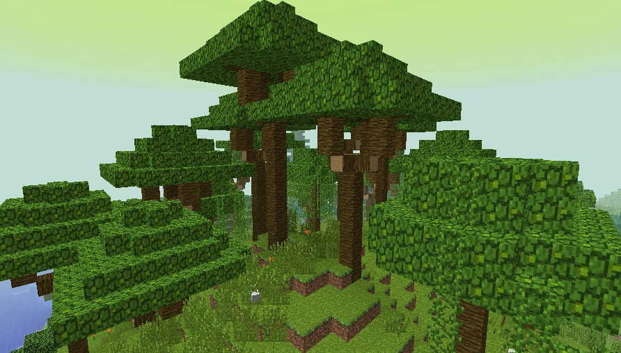 Tropical Rainforest | DuncsWeb Xtreme Wiki | Fandom