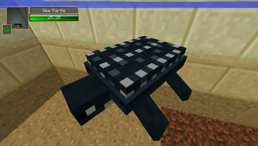 Sea Turtle | DuncsWeb Xtreme Wiki | Fandom