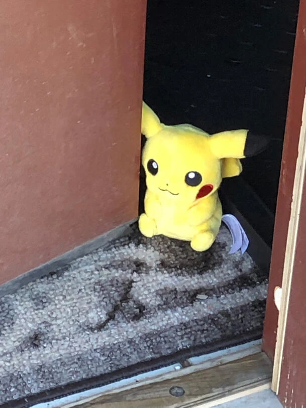 Pikachu | Xyag Wiki | Fandom