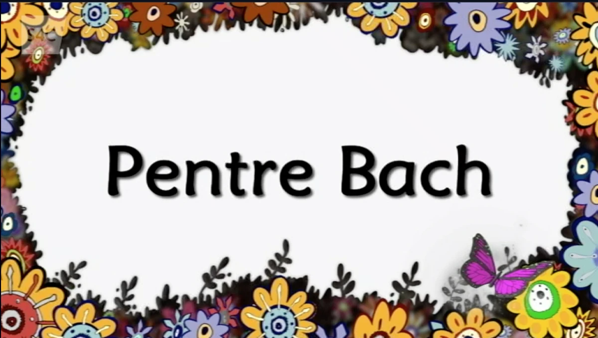 Pentre Bach | Wici Y Cyfryngau Cymraeg | Fandom
