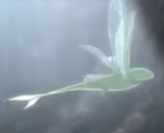 Flying newts (Anime)/Gallery | The Promised Neverland Wiki | Fandom