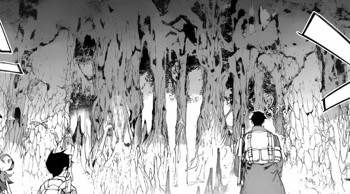Candle Trees | The Promised Neverland Wiki | Fandom