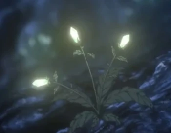 Jewel Flowers (Anime) | The Promised Neverland Wiki | Fandom