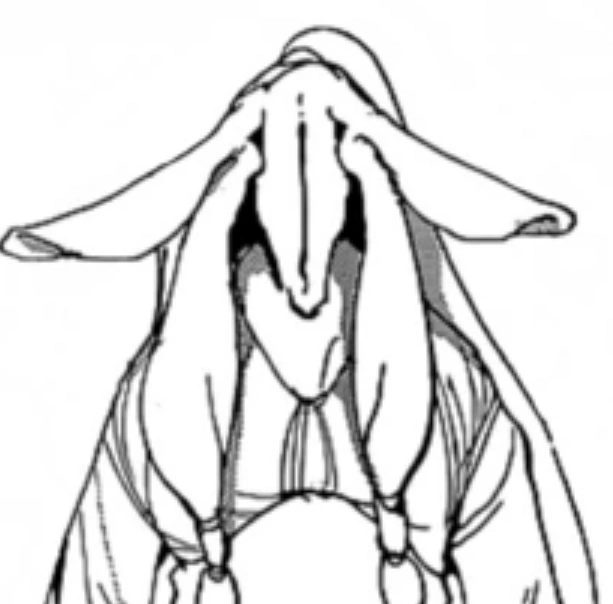 Lady Bayon | The Promised Neverland Wiki | Fandom