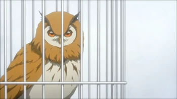 Minerva's Owl (Anime) | The Promised Neverland Wiki | Fandom