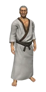 Yagyu Sekishusai | Yakuza Wiki | Fandom