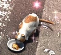 Shizuku (Cat) - Yakuza Wiki