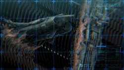 Andromeda-class Space Battleship | Space Battleship Yamato Wiki | Fandom