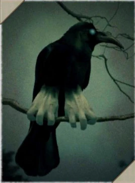 Human Hand Crow | Yami Shibai Wiki | Fandom
