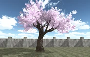 Confession Tree | Yandere Simulator Wiki | Fandom