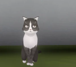 User blog:Biggestyansimfan/The Kitten | Yandere Simulator Wiki | Fandom