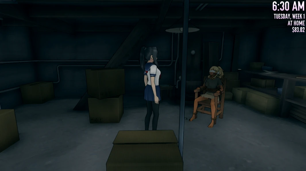 Basement | Yandere Simulator Wiki | Fandom