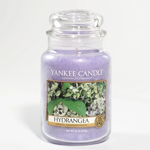 Hydrangea | Yankee Candle Fragrance Gallery Wiki | Fandom