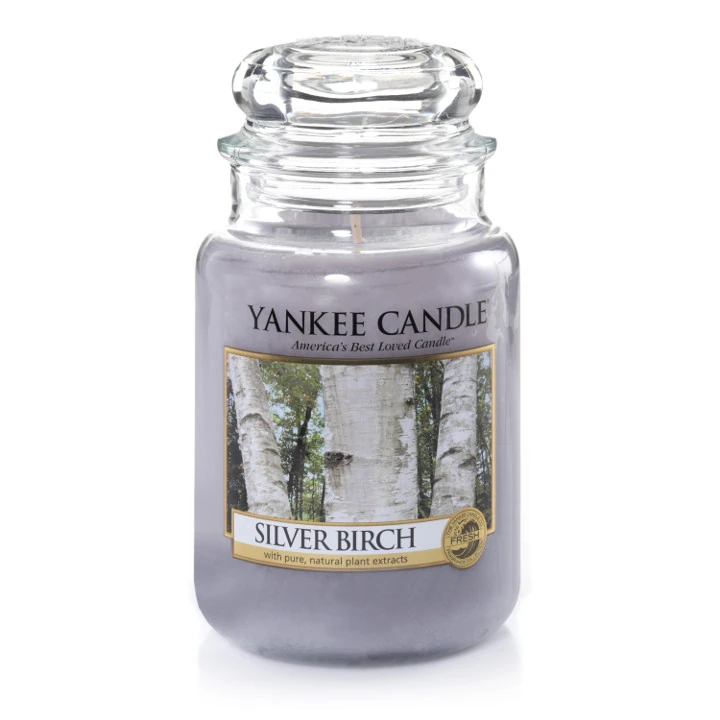 Yankee Candle Silver Birch