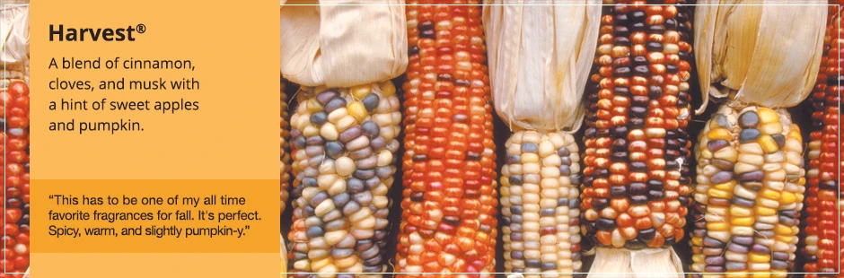 Harvest | Yankee Candle Fragrance Gallery Wiki | Fandom