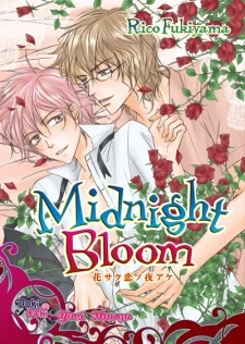 Midnight Bloom | Yaoi Wiki | Fandom