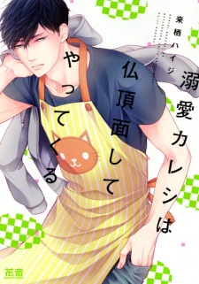 Dekiai Kareshi wa Bucchouzura shite Yattekuru | Yaoi Wiki | Fandom