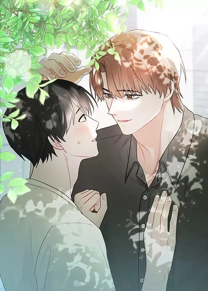 Summer Sparks | Yaoi Wiki | Fandom