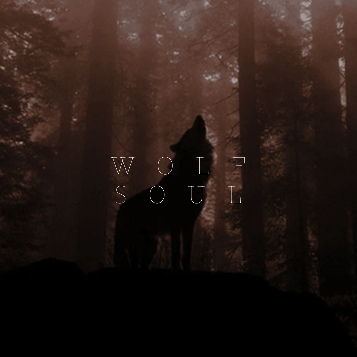 Wolf Soul | Yared Alejandro Wiki | Fandom