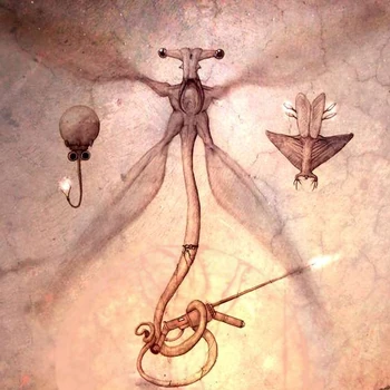 Qu | Yata Wiki | Fandom