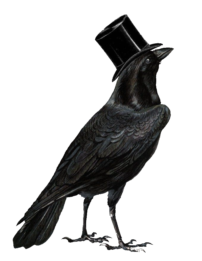 Sapient Corvids | Yata Wiki | Fandom