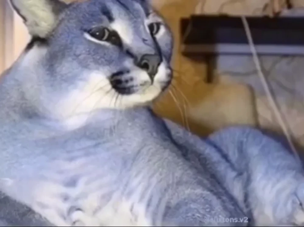 Crip Floppa | Yata Wiki | Fandom