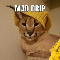 Mad Drip Floppa | Yata Wiki | Fandom