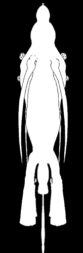 Progenitor-Class Worldship | Yata Wiki | Fandom