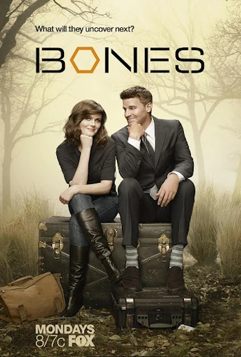 Bones | Yatoroba Wiki | Fandom