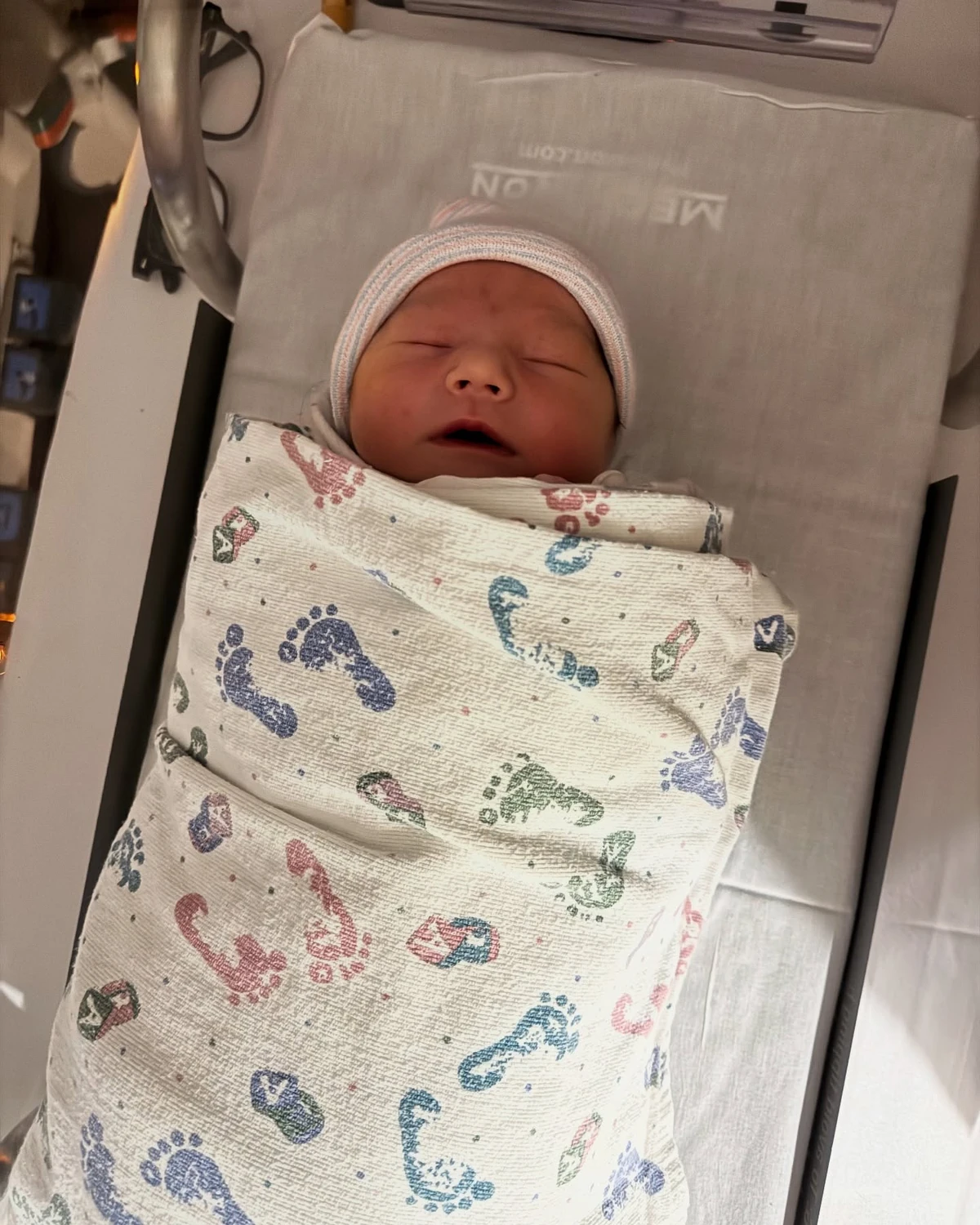 Hayden Traveller | YAWI Family Wiki | Fandom