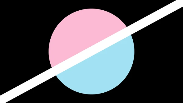 Binarypunk | YB3 Wiki | Fandom