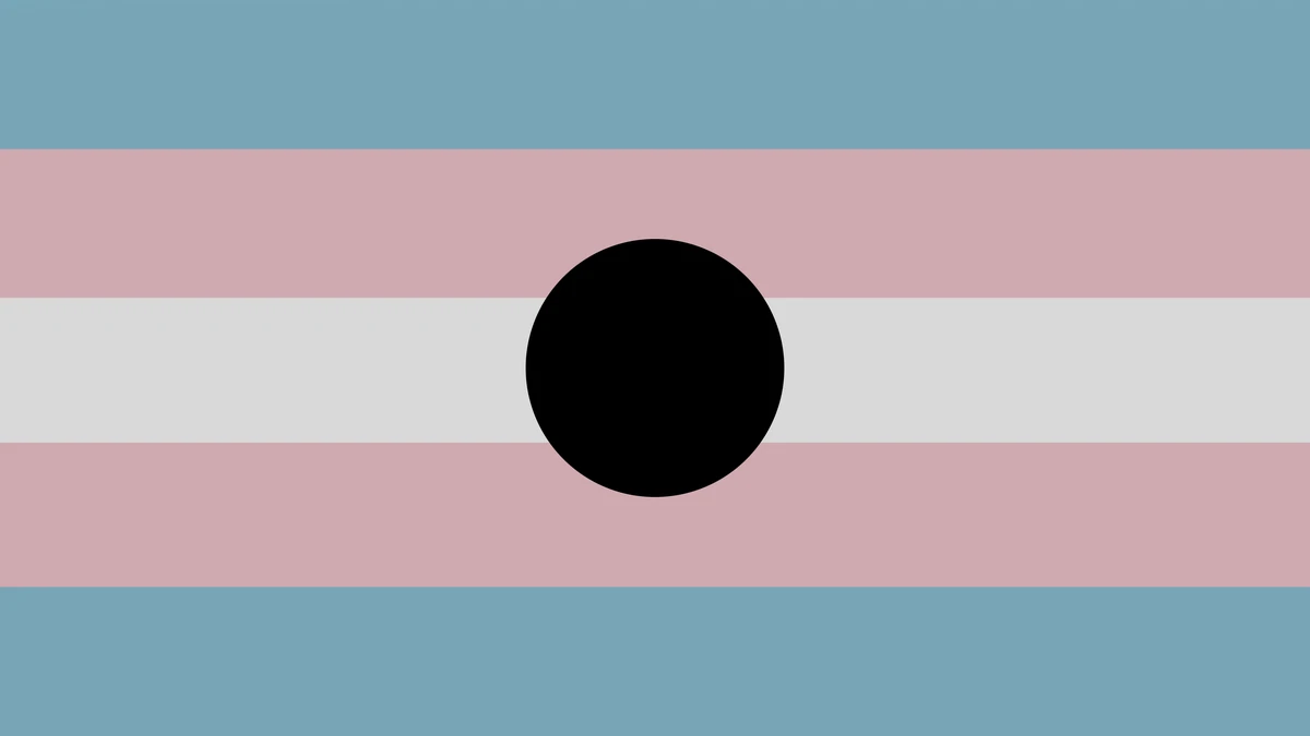 Transvoid | YB3 Wiki | Fandom