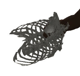 Rib Cage of the Saint's Corpse | YBA:NU Вики | Fandom