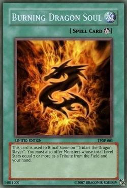 Burning Dragon Soul | Yu-Gi-Oh Card Maker Wiki | Fandom