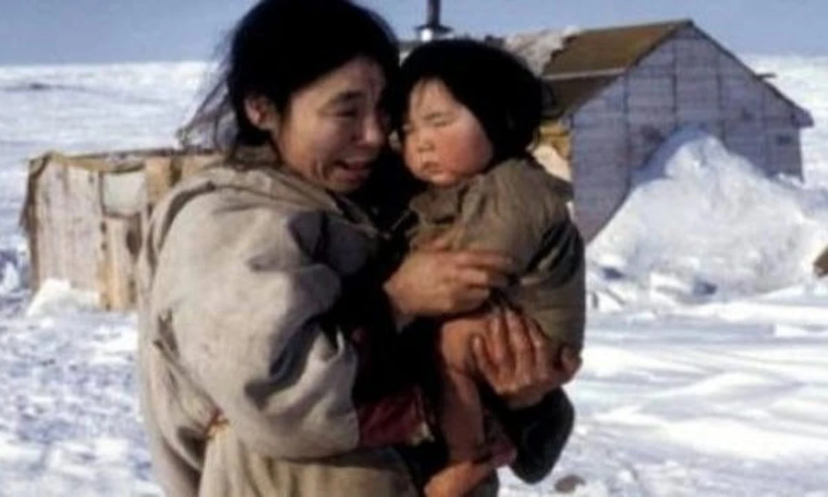 Tundrian | YeebaVerse Wiki | Fandom