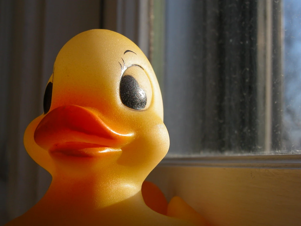 From nothing to yellow goodness | YellowDucks Wiki | Fandom